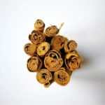 Cannelle bio – Ceylan & Casse en poudre ou bâtons | Nomie